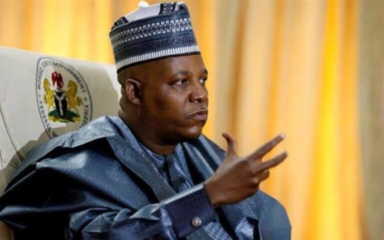 List Of Vice Presidents Of Nigeria (1966-Present) | NaijaDetails